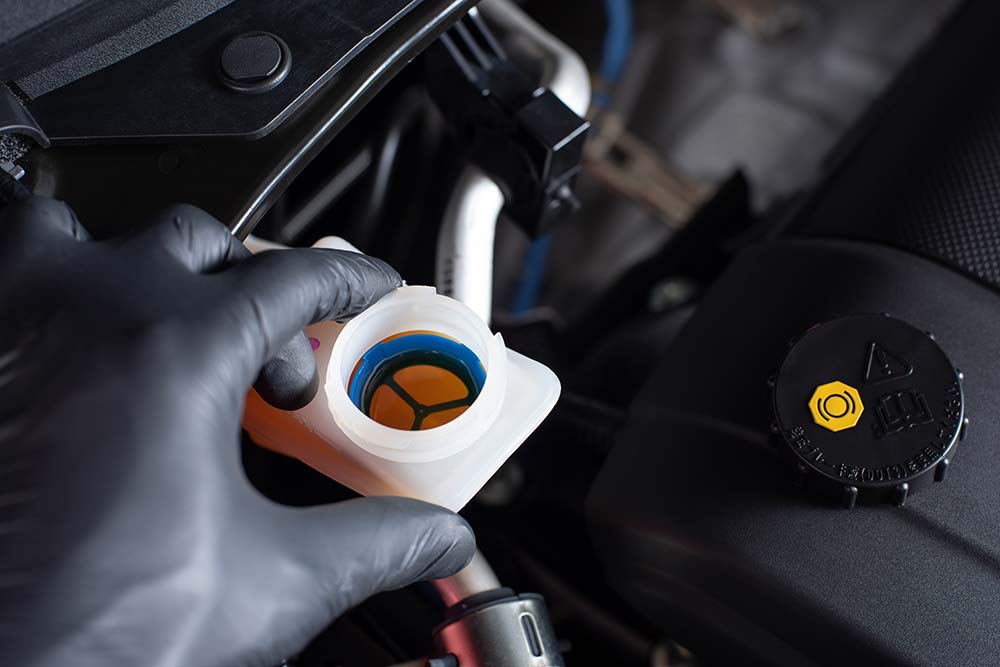 Keep Your Car Happy: Essential Maintenance Tips | Road Runner Service ...